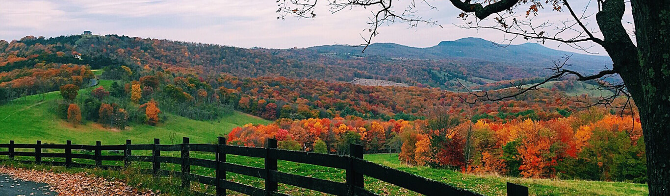 West Virginia Handicap Placard | Dr. Handicap